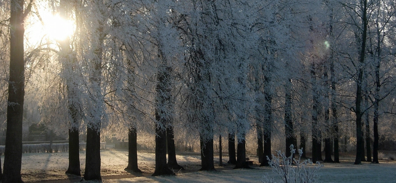 Stadt Apolda | Die Homepage der Stadt Apolda