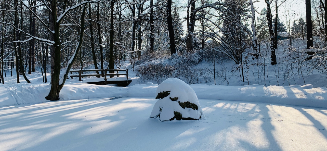 Stadt Apolda | Stadtentwicklungskonzept / Leitbild