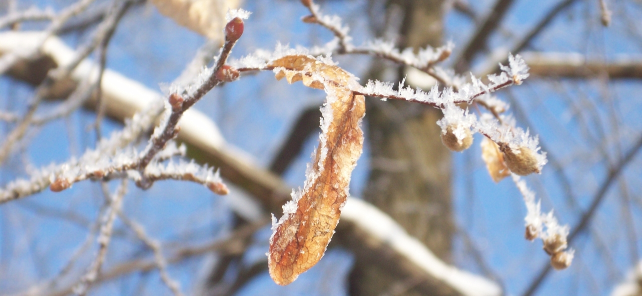Stadt Apolda | Die Homepage der Stadt Apolda